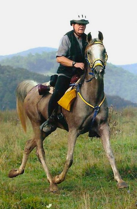 Home - Parry Harness & Tack